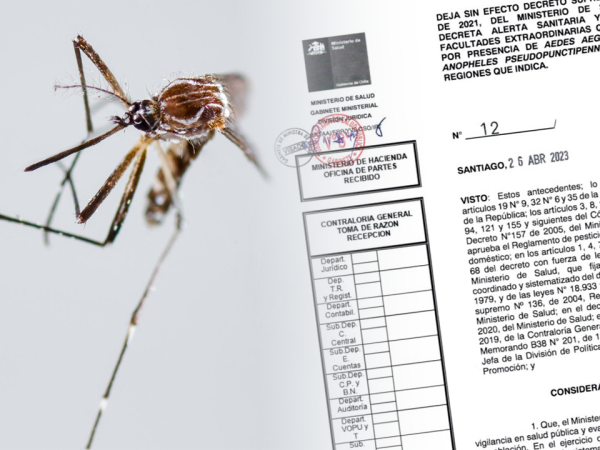 Minsal decreta alerta sanitaria en 7 regiones ante riesgo de mosquito que transmite el dengue ...